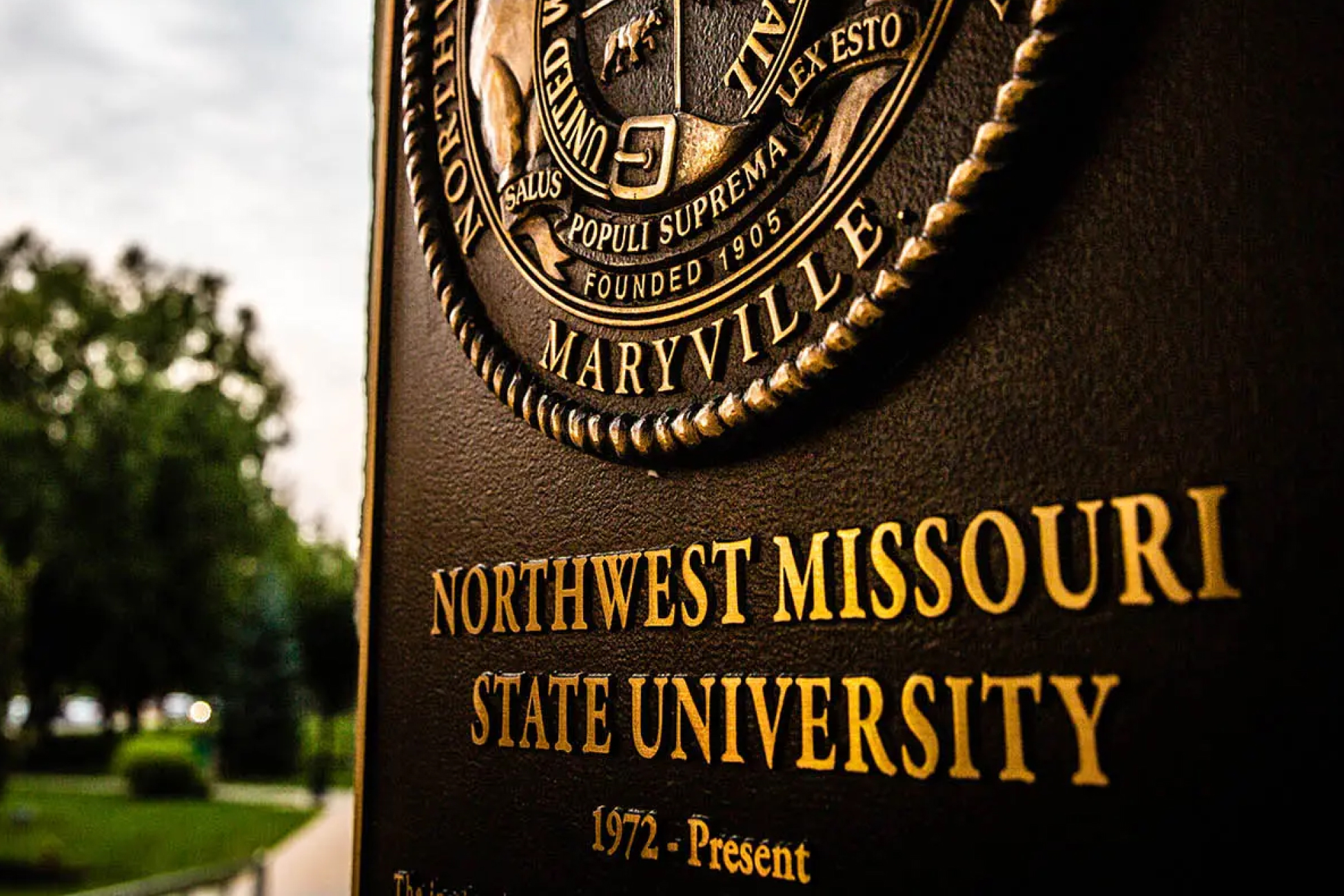 Enrollment success through continual portfolio expansion at Northwest ...